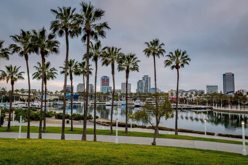 Downtown Long Beach at Sunrise Stock Image - Image of county, natural ...