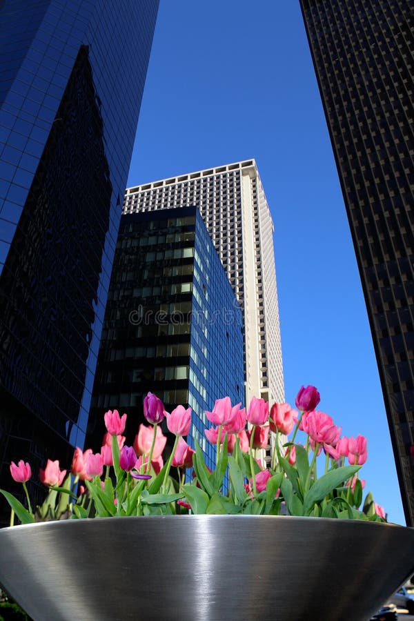 Downtown Manhattan in Spring Stock Photo - Image of scale, tourism ...