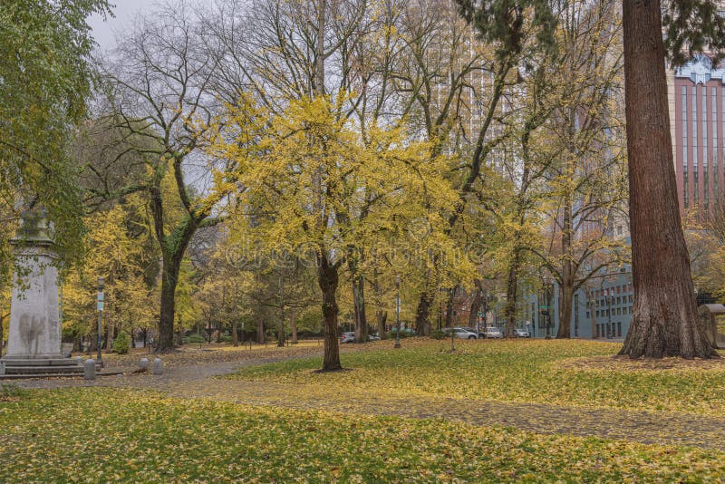Downtown Portland Oregon Public Park Oregon State Stock Photo - Image ...