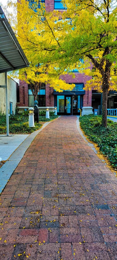 Downtown Traverse City stock image. Image of garden - 261832203