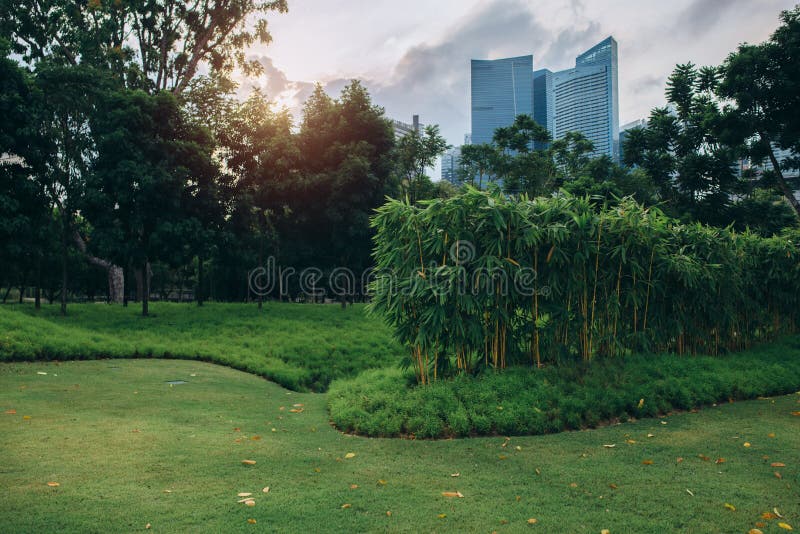 Downtown View from Beautiful Green City Park at Dawn. Stock Image ...