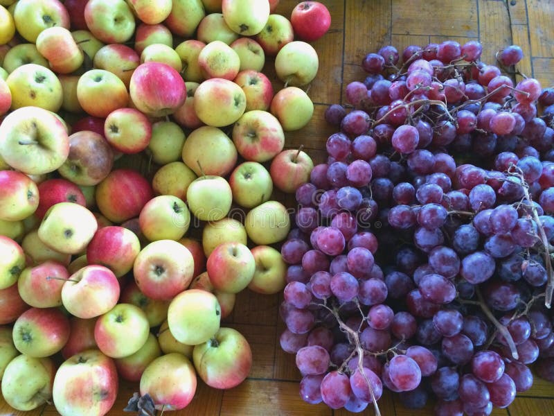 Dozen of Apple and Bunch of Grapes on the Table Stock Photo - Image of ...