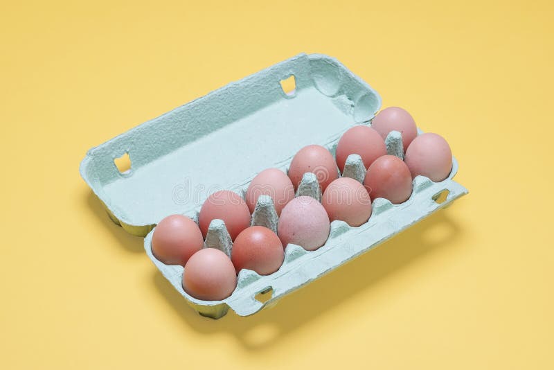 Dozen Organic Free Range Brown Eggs in an Fully Open Egg Carton ...