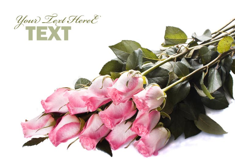 Dozen Roses Stock Illustrations – 1,029 Dozen Roses Stock Illustrations ...