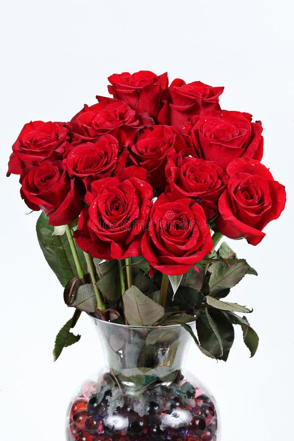1,790 Dozen Roses Stock Photos - Free & Royalty-Free Stock Photos from ...