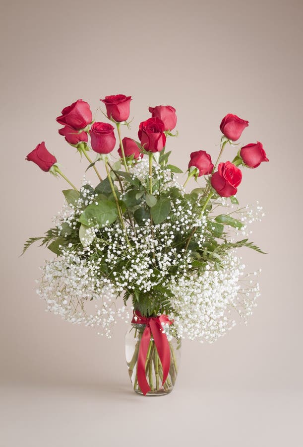 One Dozen Red Roses on Solid Background in Vase Stock Image - Image of ...