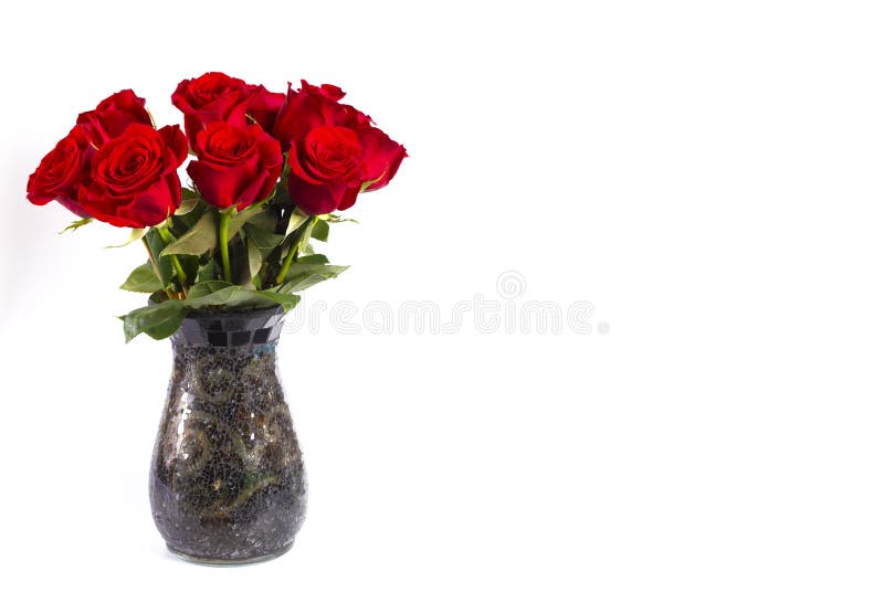 Dozen Red Roses in a Vase Isolated on a White Background Stock Image ...