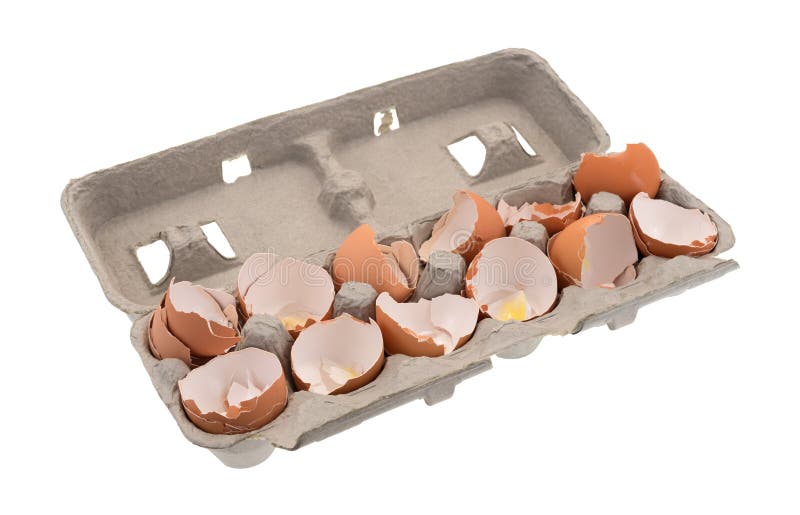 Dozen Used Egg Shells in a Cardboard Container Stock Photo - Image of ...
