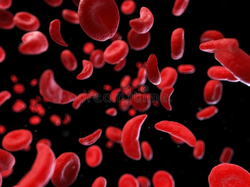 Faucille Et Globules Rouges Normales Illustration Stock - Illustration ...