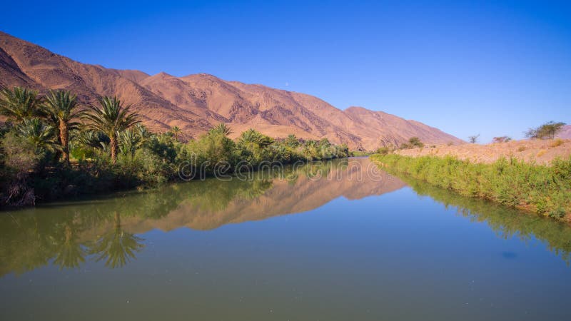 Draa river in Morocco stock photo. Image of date, natural - 78247254