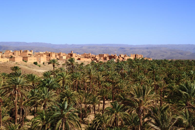 Draa Valley stock photo. Image of flora, nomad, garden - 33274186