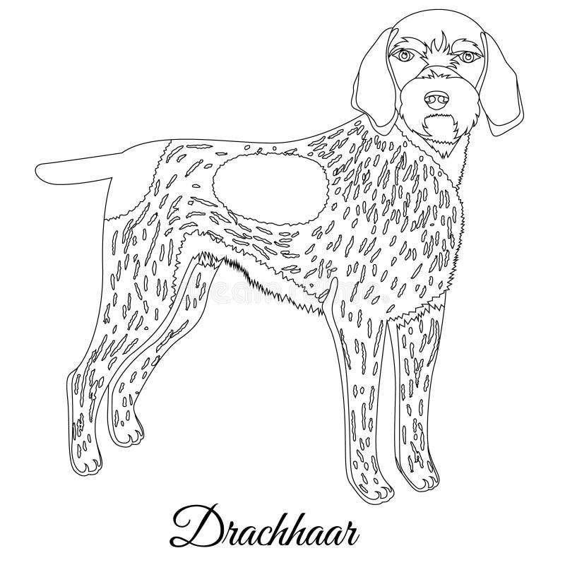 Dog Outline Stock Illustrations – 75,615 Dog Outline Stock ...