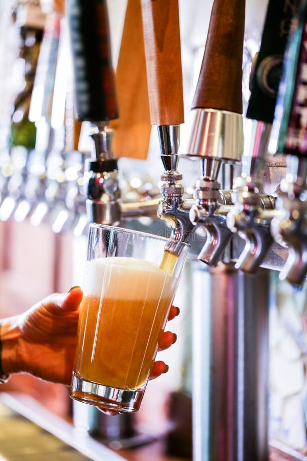 Draft beer stock image. Image of draft, pouring, beverage - 55086003