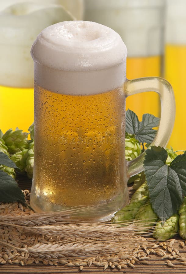 Draft beer with hops stock image. Image of green, beer - 20919617