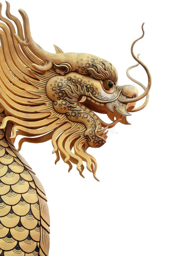 Dragão foto de stock. Imagem de potência, sinal, ouro - 23514784