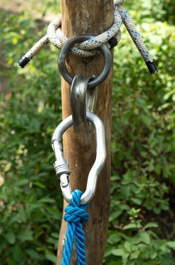 Drag the Tree. Pull the Rope Stock Image - Image of extreme, active ...