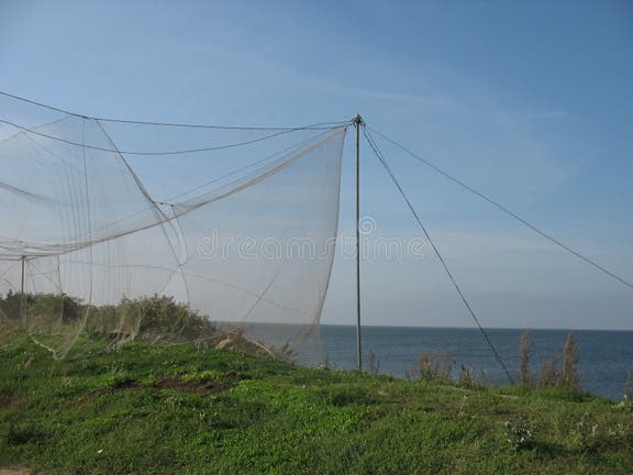 Dragnet fishing stock photo. Image of seine, fishing - 47892704