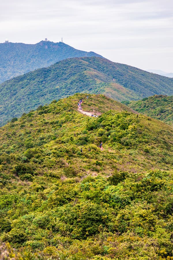 Dragon Back Trail in Hong Kong Stock Image - Image of path, dragons ...