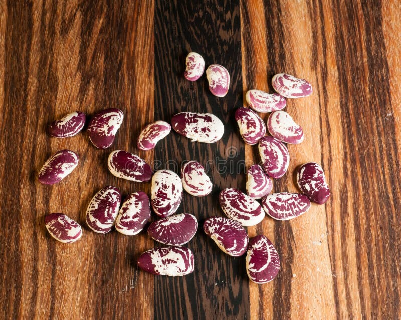 Dragon Beans stock photo. Image of unique, beans, patterned - 46440396
