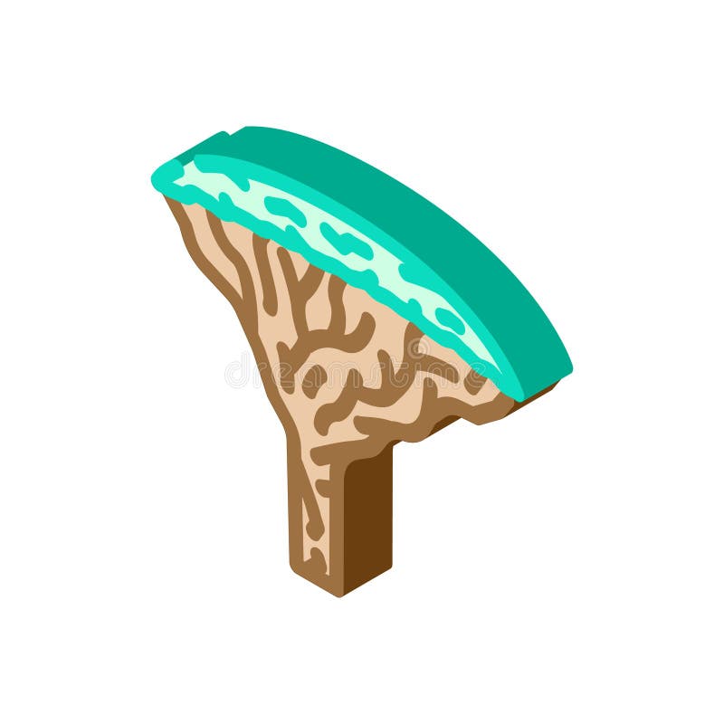 Dragon Blood Tree Isometric Icon Vector Illustration Stock Illustration ...