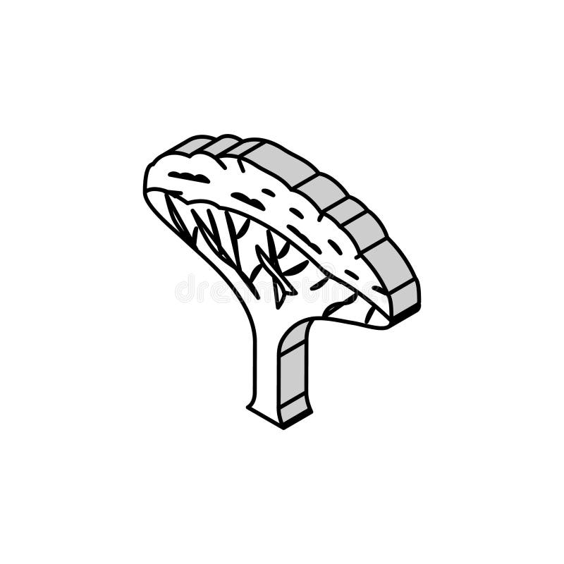 Dragon Blood Tree Isometric Icon Vector Illustration Stock Illustration ...