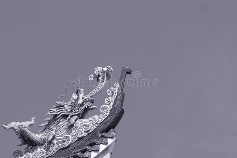 15,533 Dragon Fish Photos - Free & Royalty-Free Stock Photos from ...