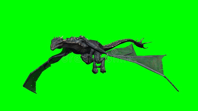 Dragon in Flight - Green Screen Stock Illustration - Illustration of ...