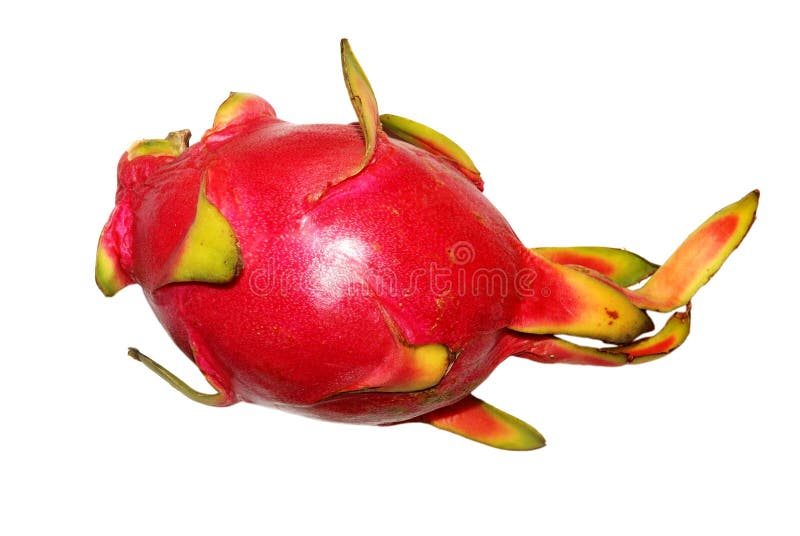Dragon Fruit stock photo. Image of sweet, scales, pink - 22978354