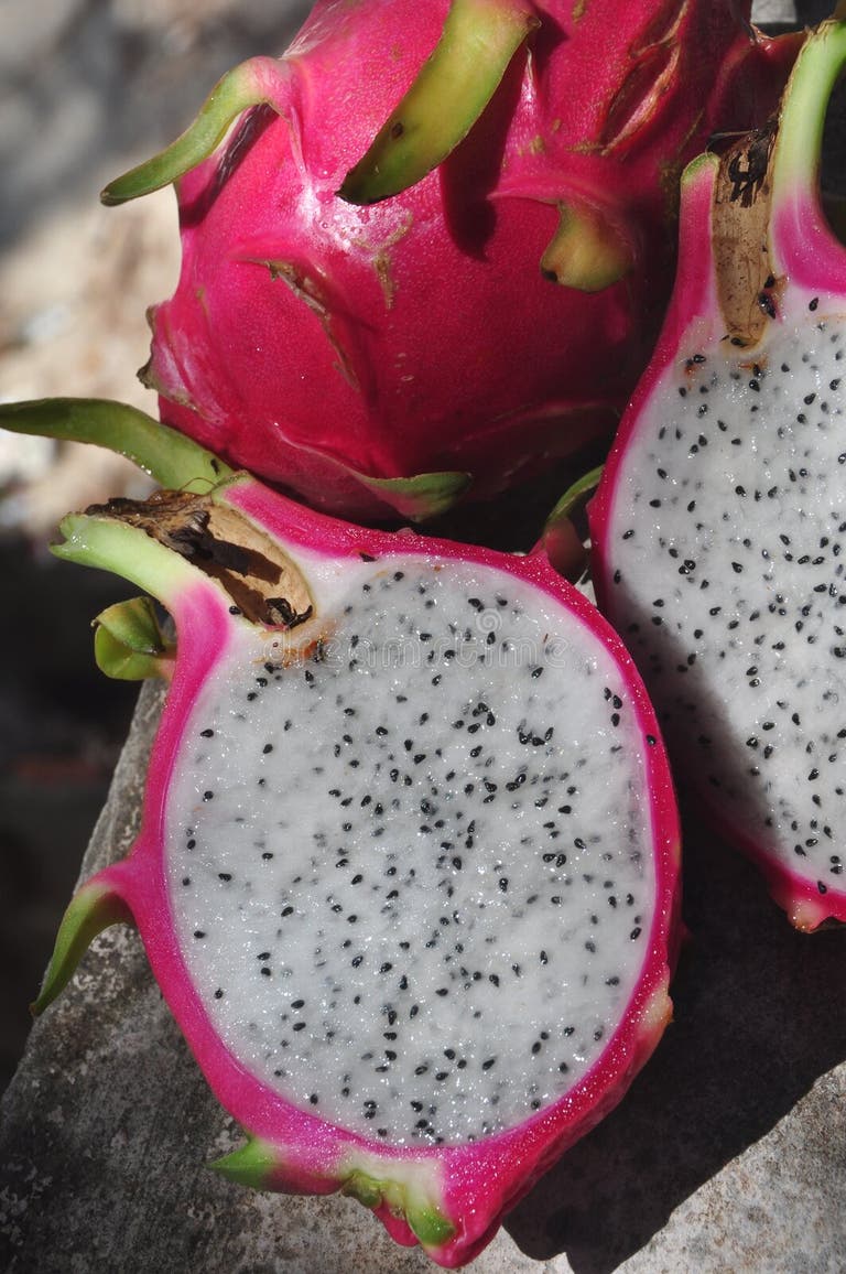 Dragon fruit stock image. Image of dragon, pulp, pink - 18069001