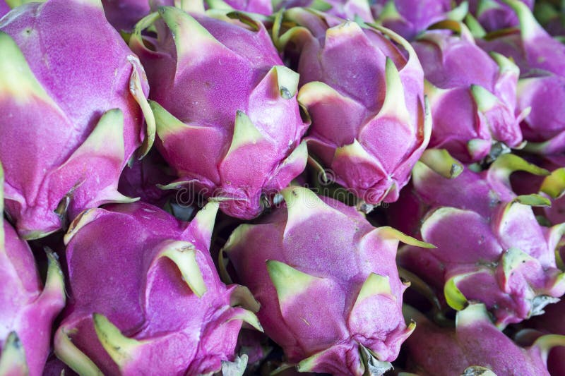 Dragon Fruit photo stock. Image du nature, fruits, organique - 65221274