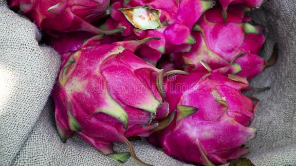 Botanic Fruit and Vegetables Stock Image - Image of nutrient, gourmet ...