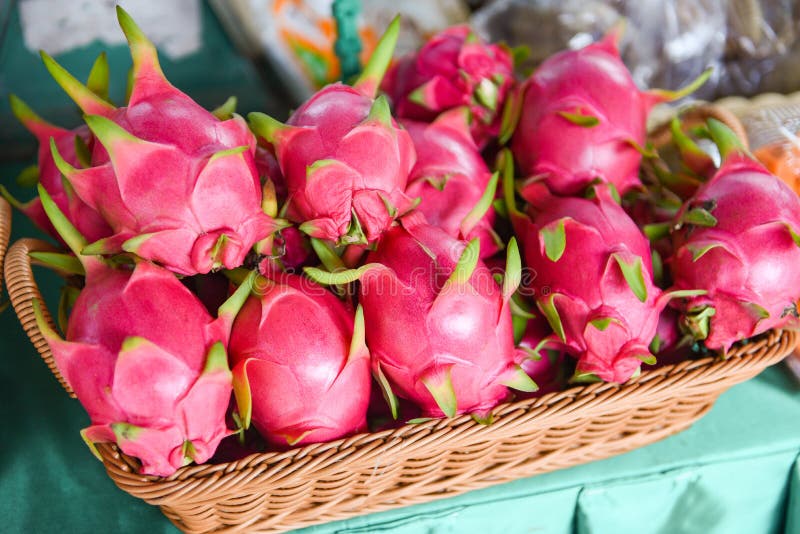 A Fresh Pitaya Fruit Photo stock photo. Image of fresh - 103843448