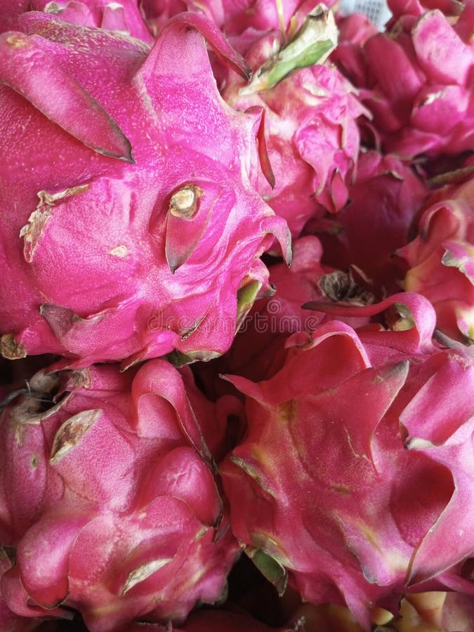 Dragon Fruit is Deep Red in Color with a Patterned Outer Texture Stock ...