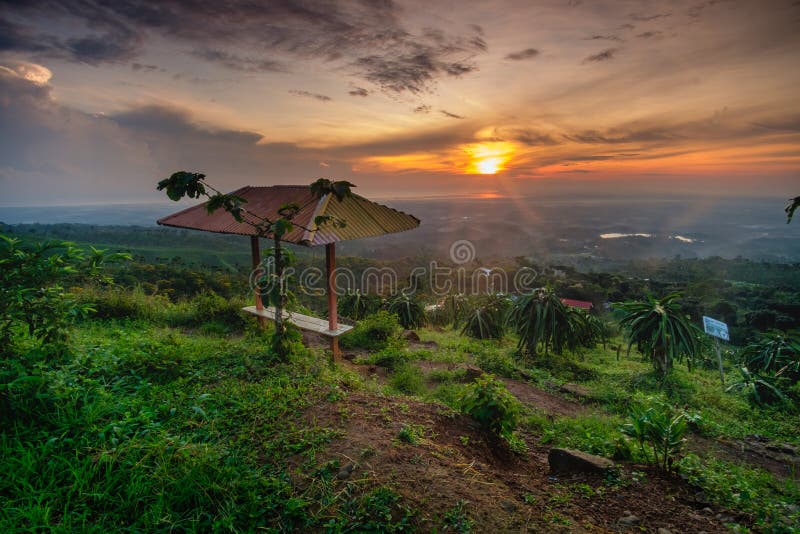 Good Morning Dragon Fruit Garden at Central Java Indonesian Stock Photo ...