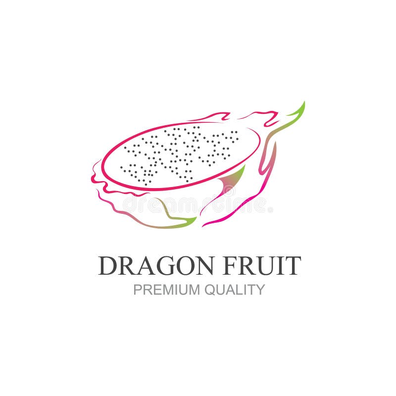 Dragon Fruit Icon Modern Design Vector Illustration Stock Vector ...