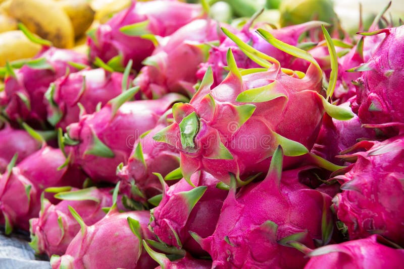 Dragon Fruit on Market Stand, Stock Image - Image of nature, exotic ...