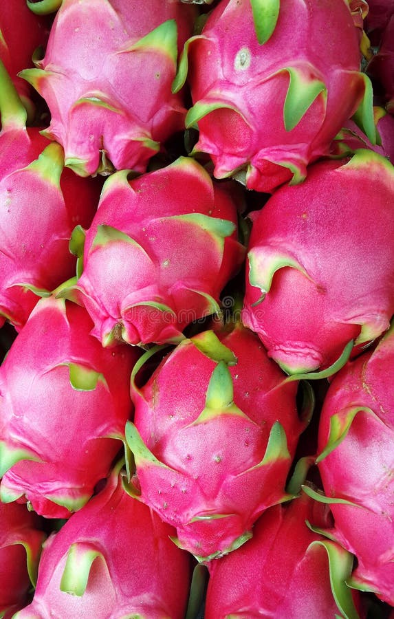 Dragon fruit stock image. Image of species, nature, exotic - 58245253