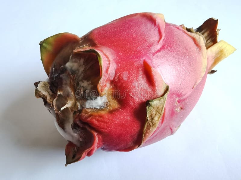 Dragon Fruit Rot Photos - Free & Royalty-Free Stock Photos from Dreamstime