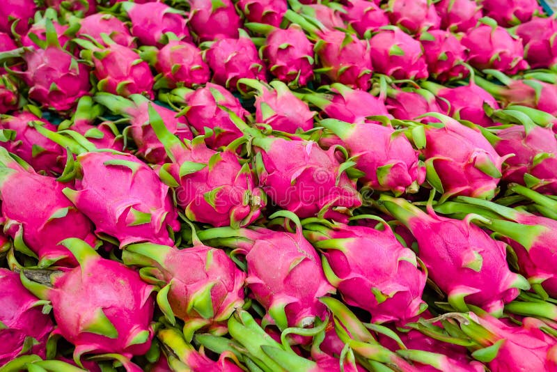 Dragon Fruit Pink Color in the Market Stock Image - Image of organic ...