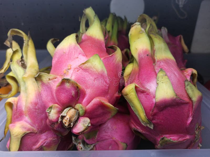 Dragon Fruit Pink Colour Fruits Stock Image - Image of pink, healthy ...