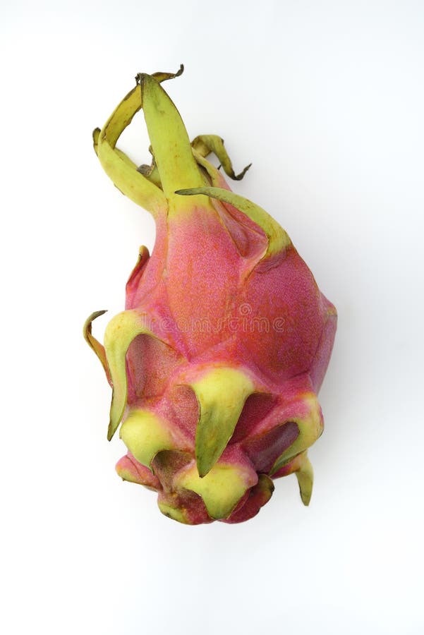 Dragon Fruit - Pitaya stock image. Image of climate, nightblooming ...