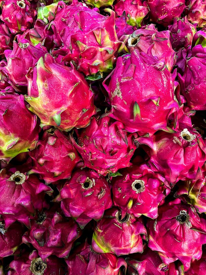 Dragon fruit stock image. Image of fresh, harvest, background - 254290337