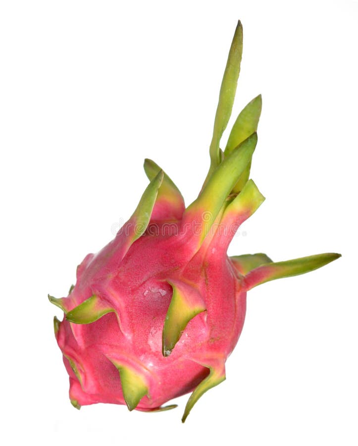 Dragon fruit stock image. Image of cactus, health, diet - 148915771
