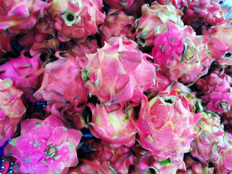 Dragon fruit texture stock image. Image of beauty, organic - 313342141