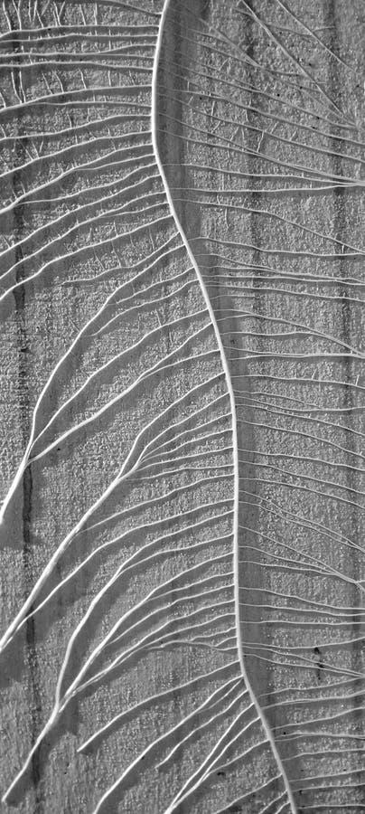 1,952 Tree Roots Fruit Stock Photos - Free & Royalty-Free Stock Photos ...