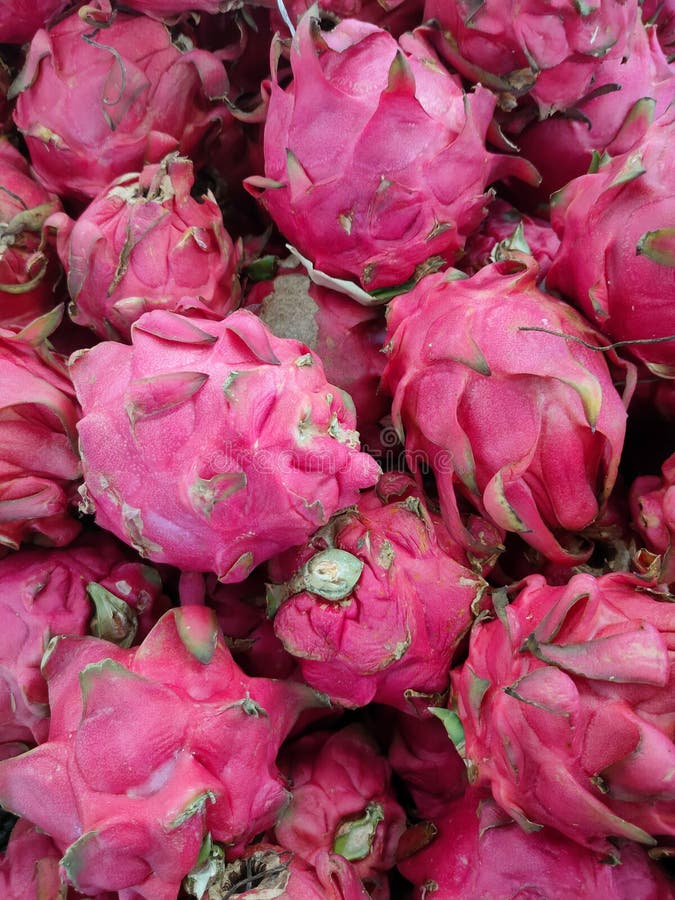 Dragon Fruit Wallpaper Photos Stock Photo - Image of plant, flower ...