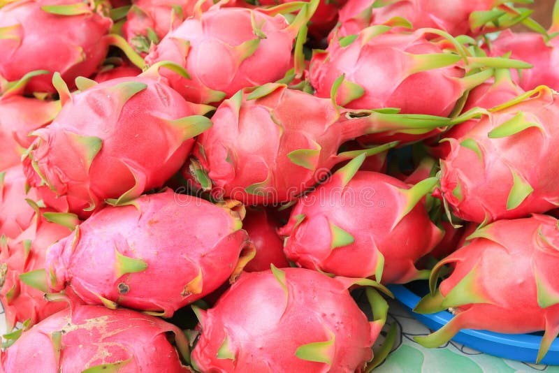 Dragon Fruit, Agricultural Product, Vietnam Stock Photo - Image of ...