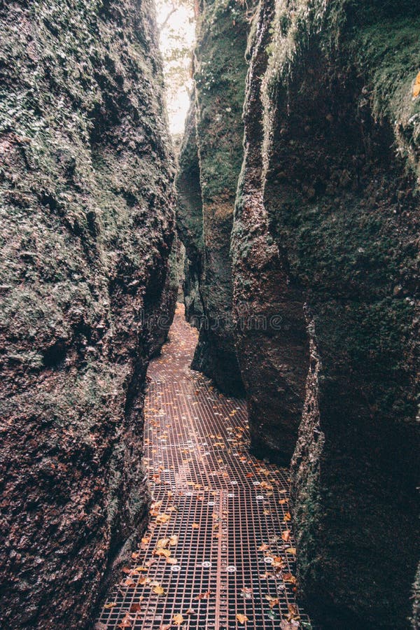 Dragon Gorge in Eisenach in October Stock Image - Image of nature ...