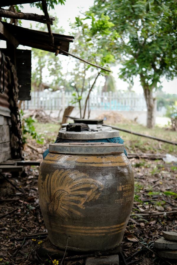 Pattern and Texture of Dragon Tank Stock Photo - Image of tank ...