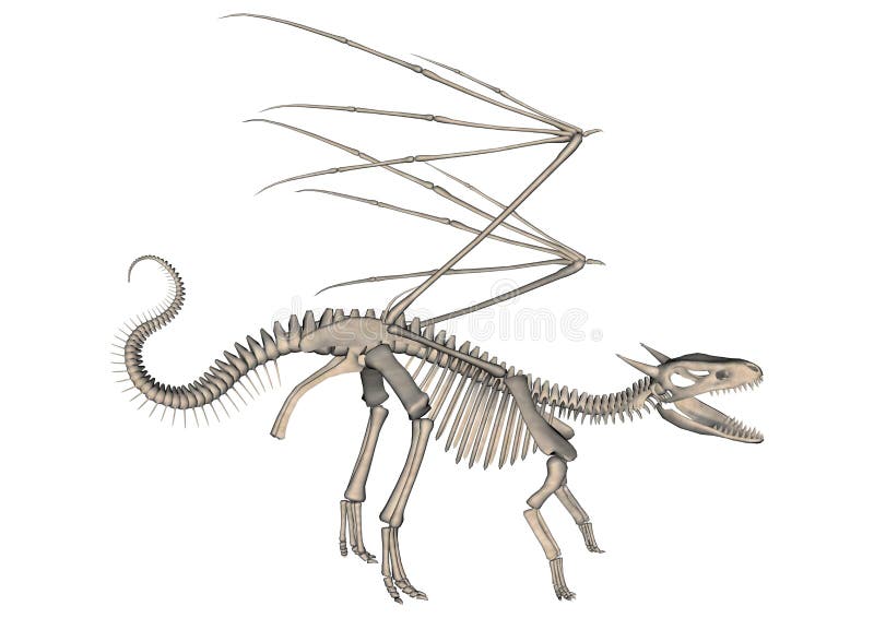 Dragon Skeleton stock illustration. Illustration of graphic - 39135971